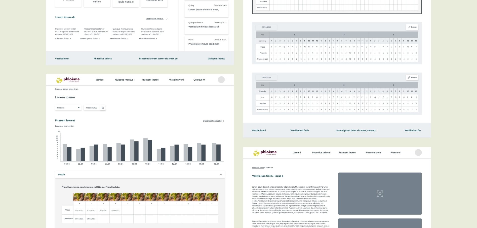 Le wireframe : qu'est-ce que c'est ? - Akiani